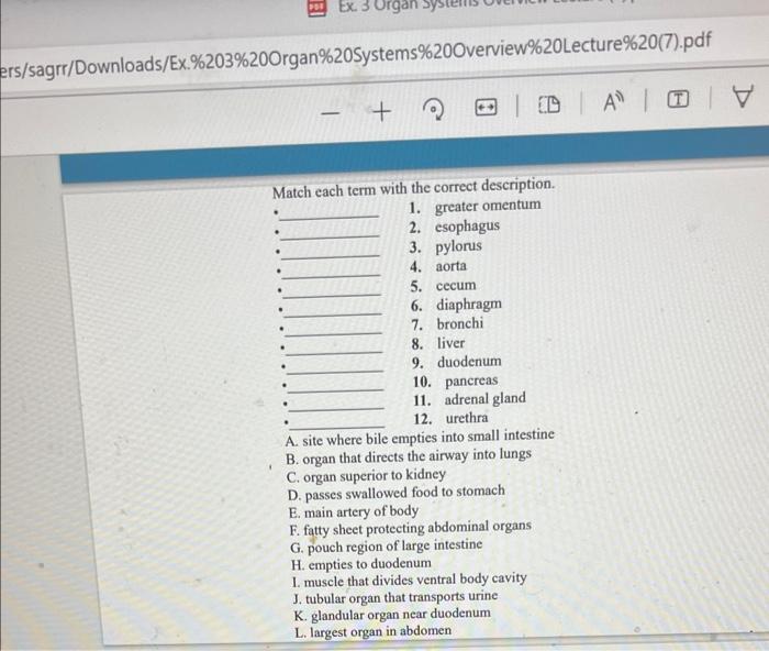 Solved Match each term with the correct description. 1. | Chegg.com