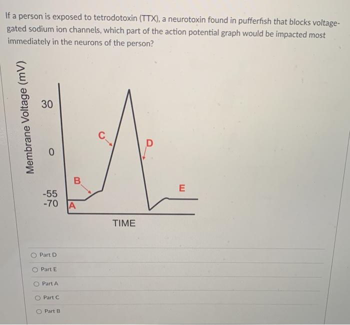 Solved If a person is exposed to tetrodotoxin (TTX), a | Chegg.com