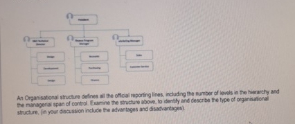 Solved An Organisational structure defines all the offcial | Chegg.com