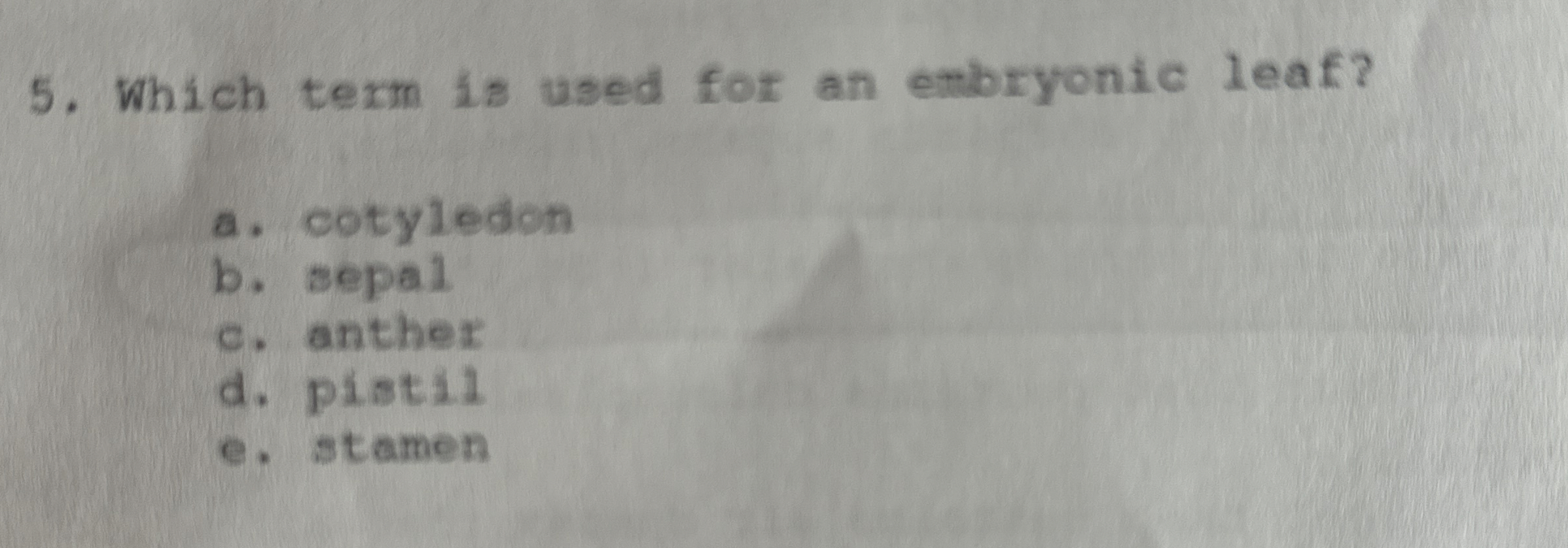 Solved Which term is used for an embryonic leaf?a. | Chegg.com