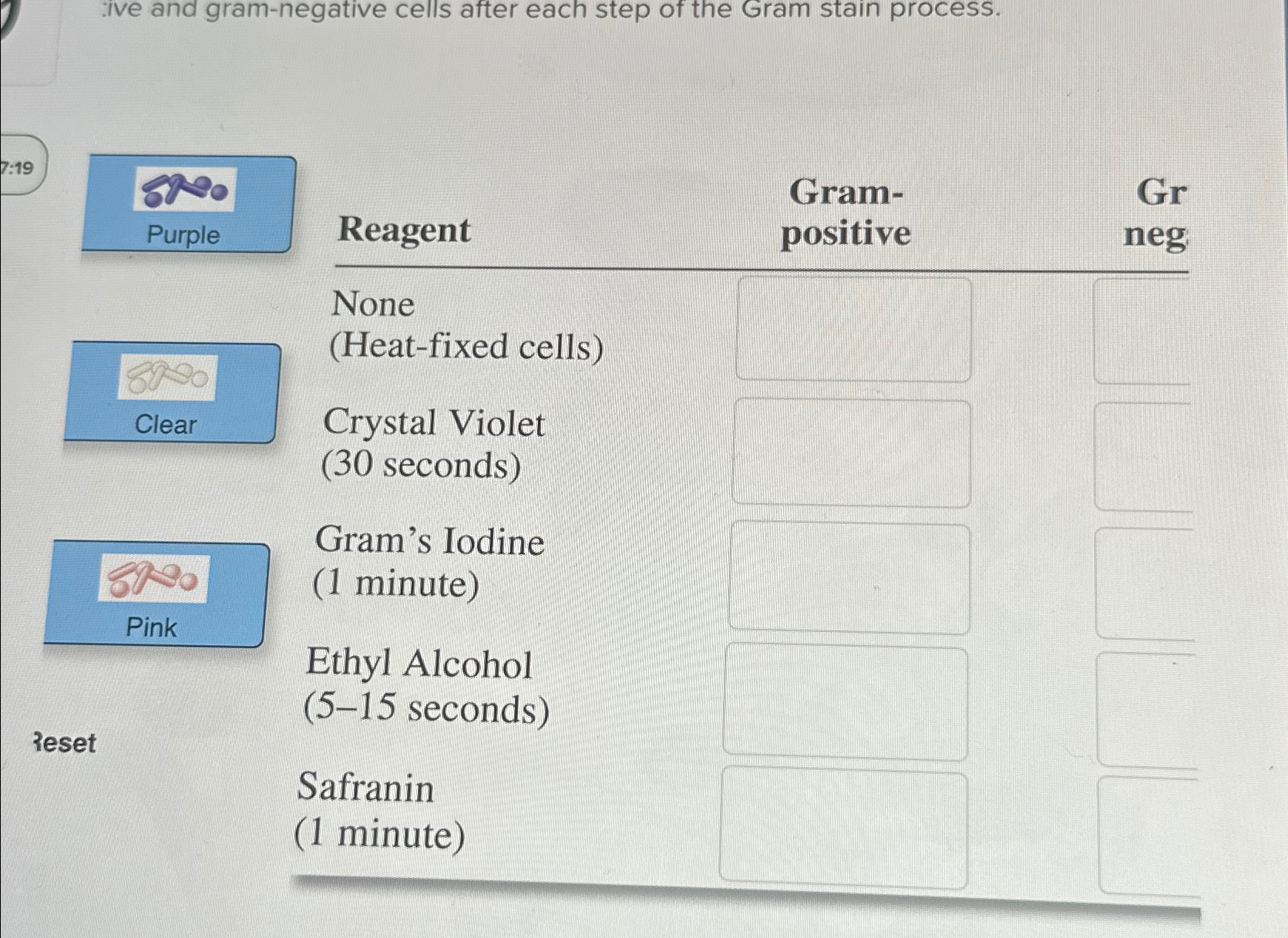 Solved ive and gram-negative cells after each step of the | Chegg.com