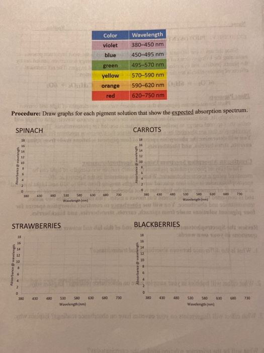 Solved draw graphs for each pigment solution that shows the | Chegg.com
