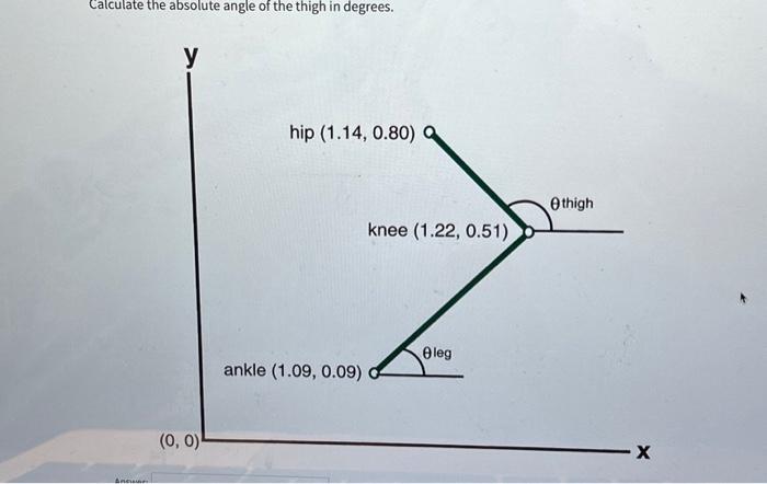 Solved Calculate the absolute angle of the thigh in degrees. | Chegg.com