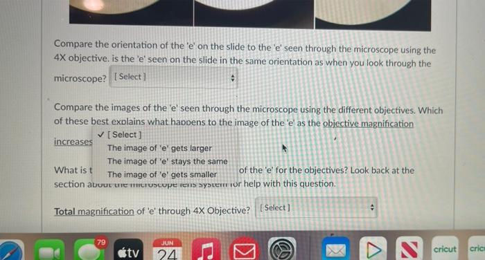 Solved Letter 'e' Slide and Magnification Below is a picture | Chegg.com