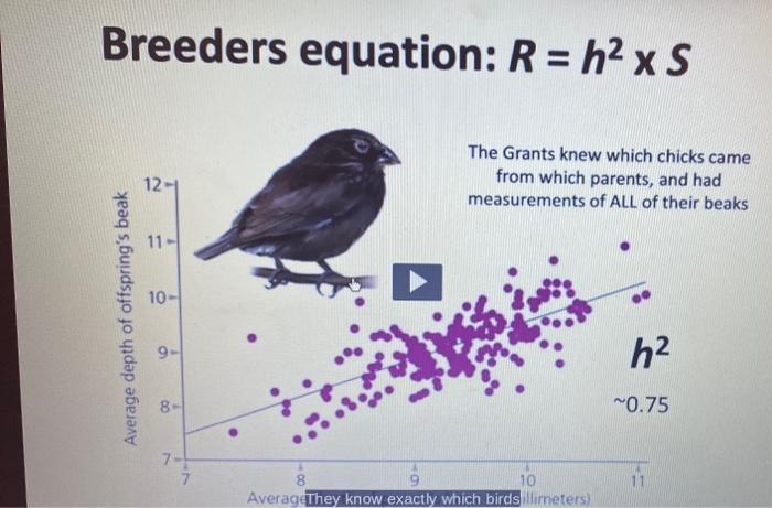 Breeders equation: R = h2 x S The Grants knew which | Chegg.com