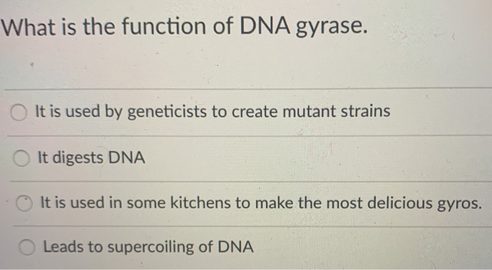 Solved What is the function of DNA gyrase. It is used by | Chegg.com