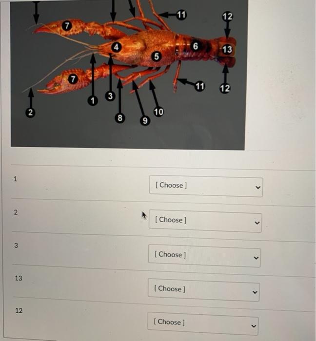 Solved 1 3 2 4 1 [Choose ] 2 [Choose 3 [Choose ] 4 [Choose | Chegg.com