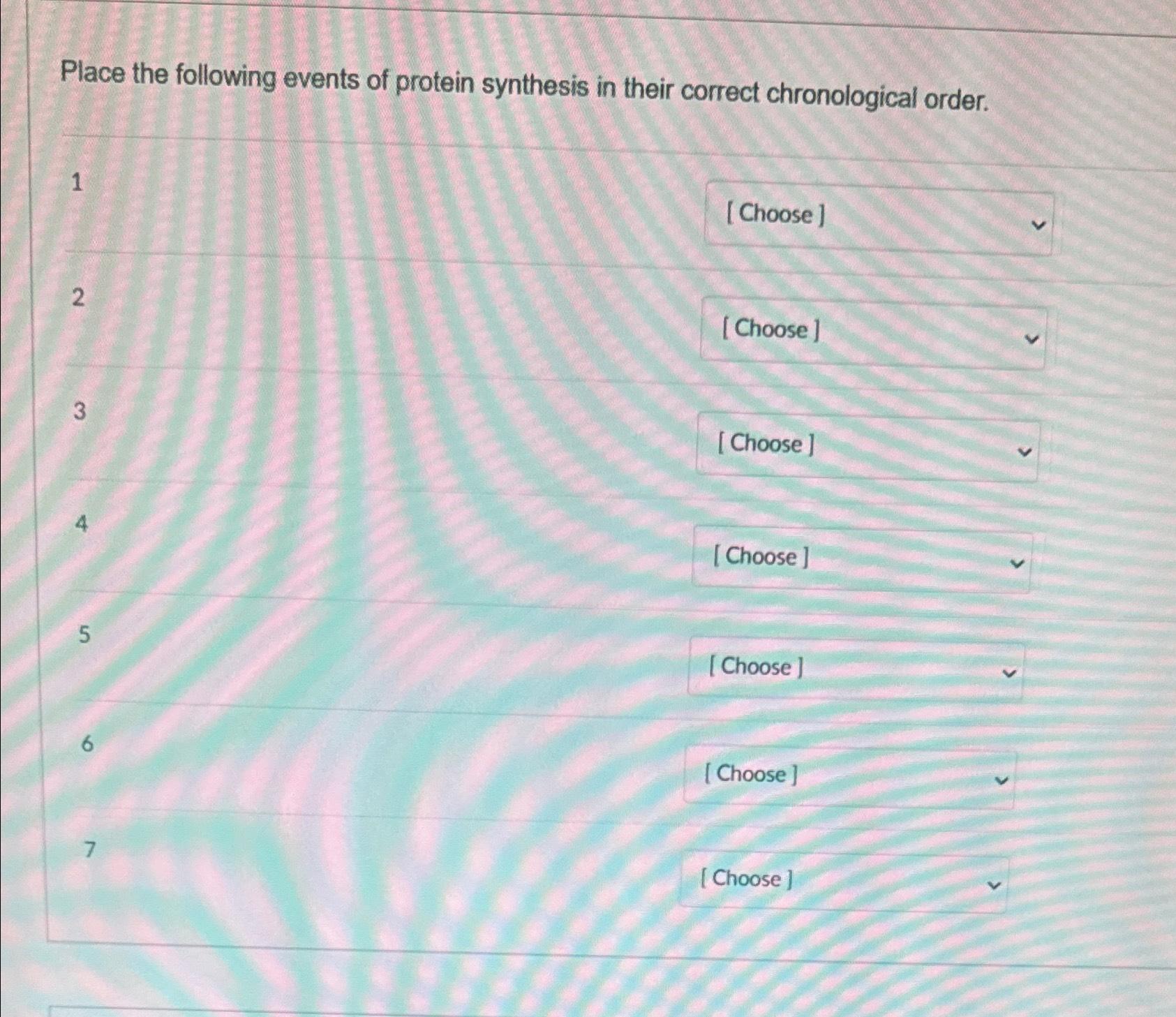 Solved Place the following events of protein synthesis in | Chegg.com