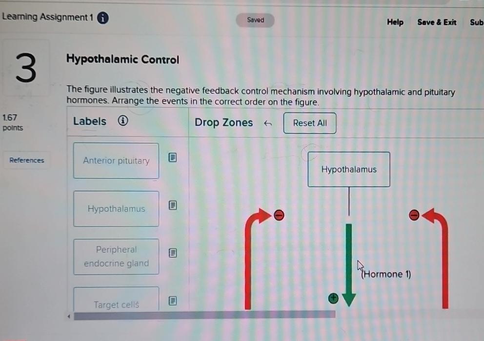 Solved Learning Assignment 1 | Chegg.com