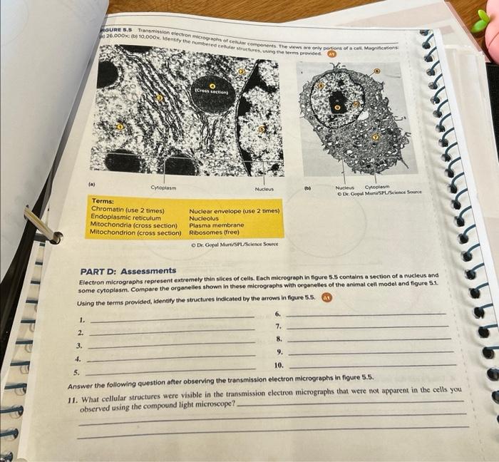 Solved ROURE 5.5 Transmivion electron migograph ar Erms | Chegg.com