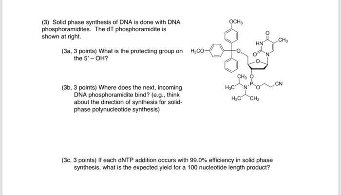 Solved (3) Solid phase synthesis of DNA is done with DNA | Chegg.com