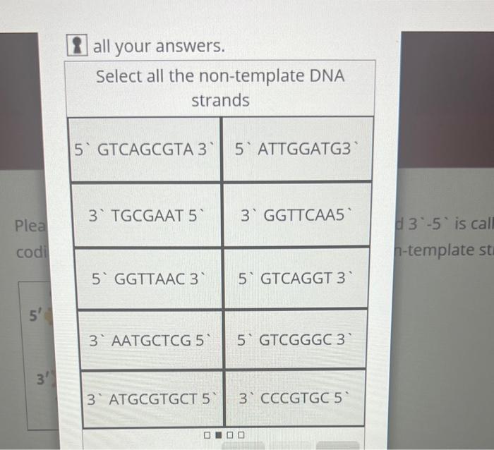 Solved Activity 1: Use the DNA strand sequence provided and | Chegg.com