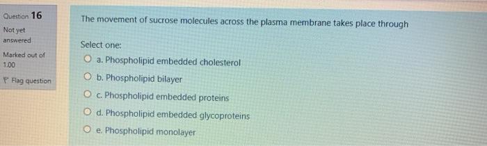 Solved Question 16 The movement of sucrose molecules across | Chegg.com