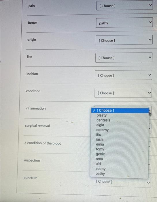 Solved Question Set: SUFFIXES: Use Appendix C in DeJong | Chegg.com