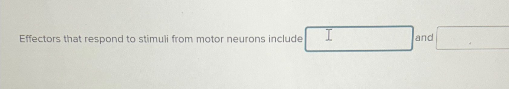 Solved Effectors that respond to stimuli from motor neurons | Chegg.com