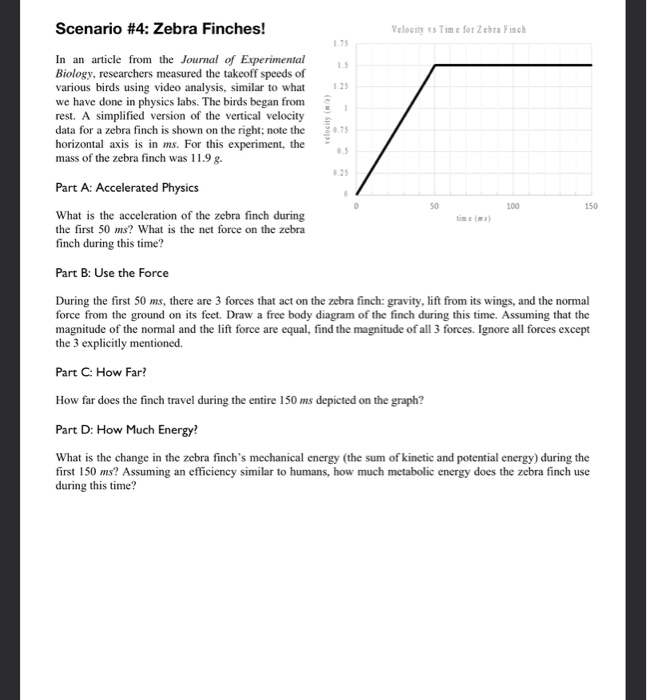Solved Scenario #4: Zebra Finches! Velocity is Time for | Chegg.com