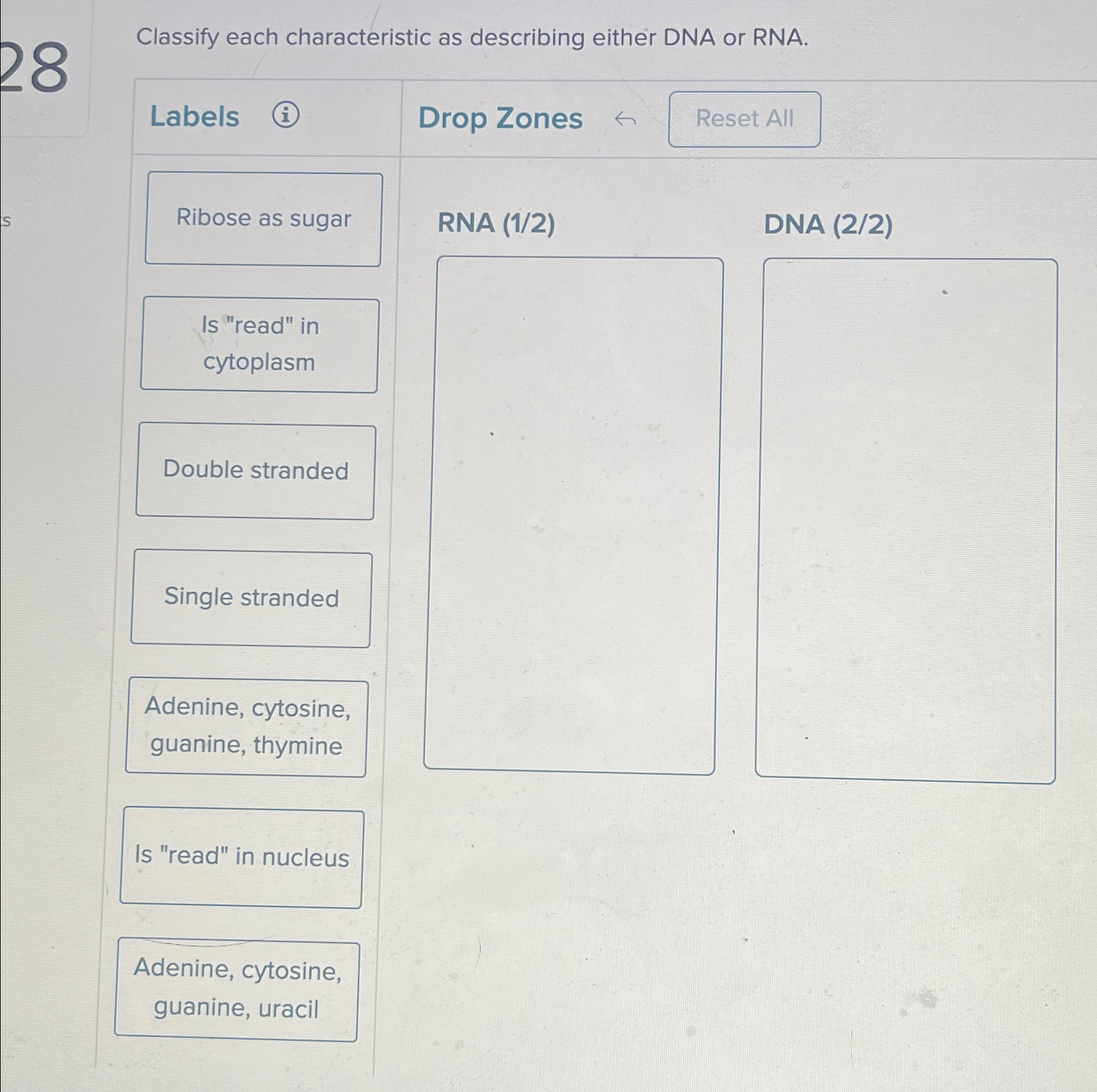 Solved Classify each characteristic as describing either DNA | Chegg.com