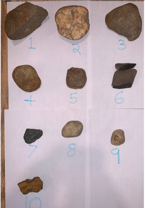 Solved Identify """IGNEOUS, ﻿SEDIMENTARY, or METAMORPHIC""" | Chegg.com