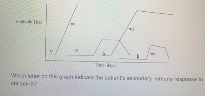 Solved Antibody Titer Time (days) Which letter on this graph | Chegg.com
