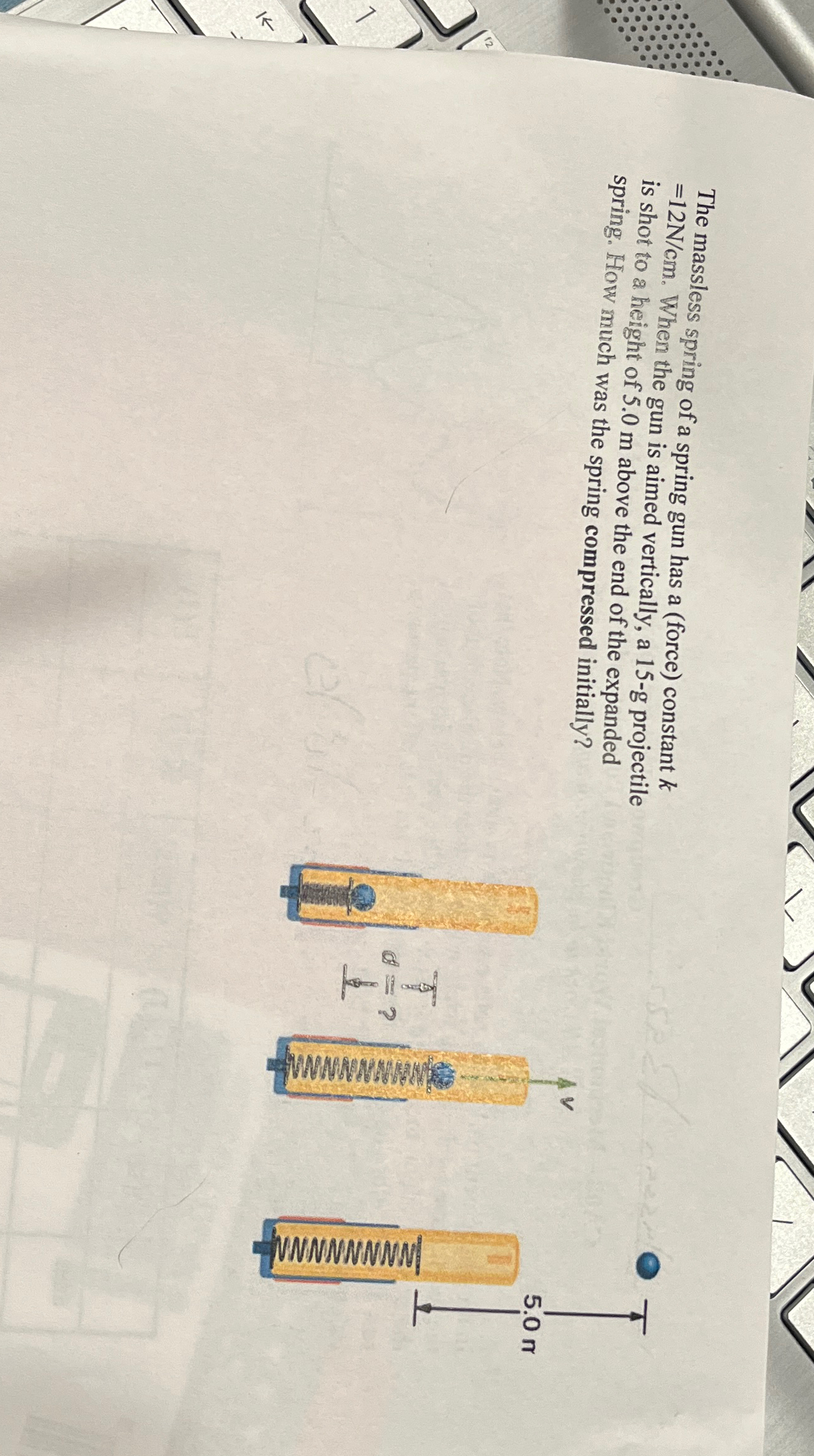 Solved The massless spring of a spring gun has a (force) | Chegg.com