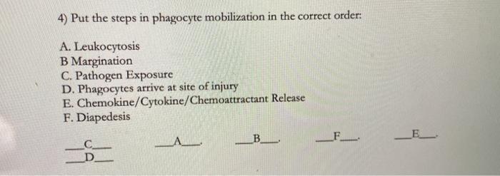 Solved 4) Put the steps in phagocyte mobilization in the | Chegg.com