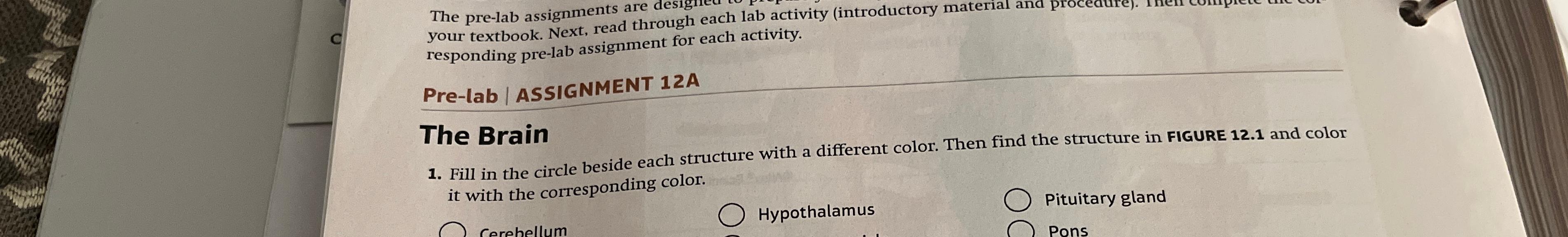 Solved The pre-lab assignments are your textbook. Next, read | Chegg.com