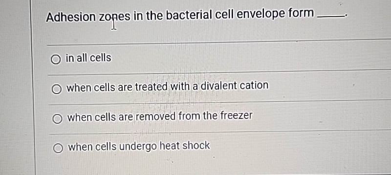 Solved Adhesion zones in the bacterial cell envelope form | Chegg.com