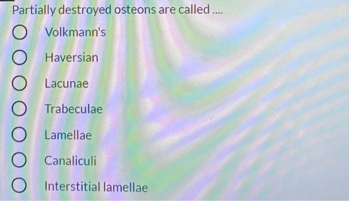 Solved What is the connective tissue layer that surrounds | Chegg.com