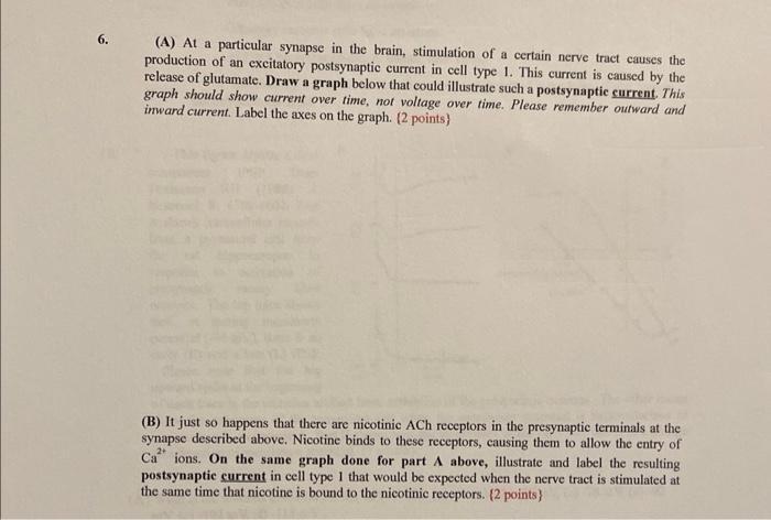Solved (A) At a particular synapse in the brain, stimulation | Chegg.com