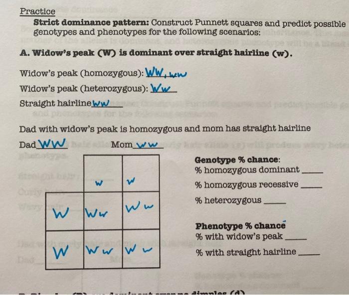 Solved Practice Strict dominance pattern: Construct Punnett | Chegg.com