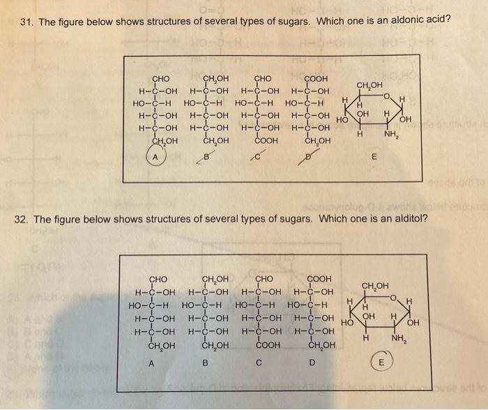 Solved 31. The figure below shows structures of several | Chegg.com
