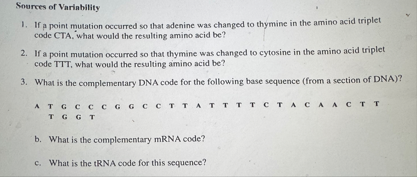 Solved Sources of VariabilityIf a point mutation occurred so | Chegg.com