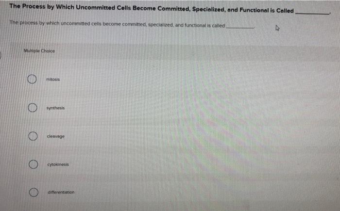 Solved The Process by Which Uncommitted Cells Become | Chegg.com