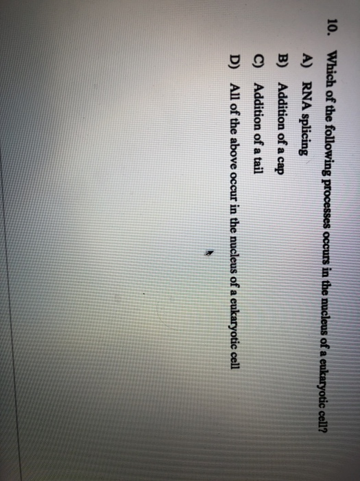 Solved 10. Which of the following processes occurs in the | Chegg.com