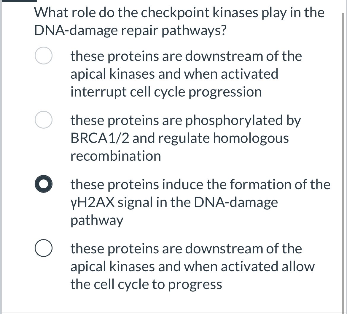 Solved What role do the checkpoint kinases play in the | Chegg.com