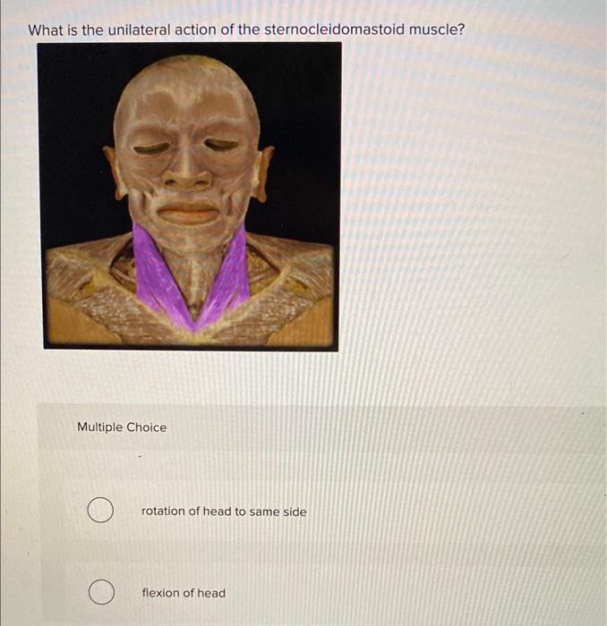 Solved What is the unilateral action of the | Chegg.com