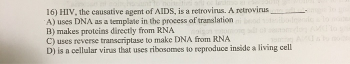 Solved 16) HIV, the causative agent of AIDS, is a | Chegg.com