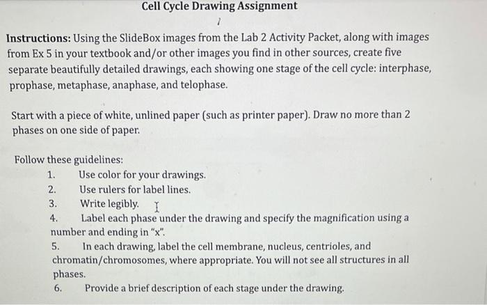 Solved Cell Cycle Drawing Assignment 7 Instructions: Using | Chegg.com