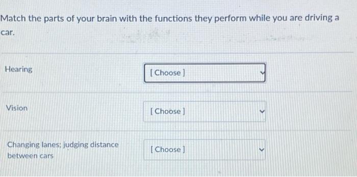 Solved Match the parts of your brain with the functions they | Chegg.com