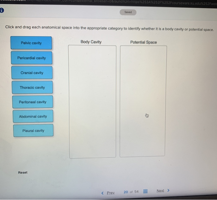 Solved browscreo&launchurlehttp%253A%252F | Chegg.com