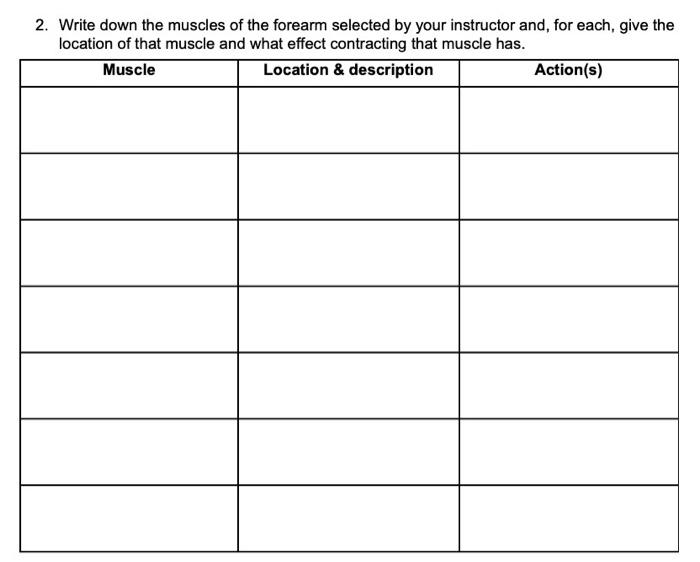 Solved LAB 9 EXERCISES 9-10 IDENTIFY THE MUSCLES OF THE | Chegg.com Solved LAB 9 EXERCISES 9-10 IDENTIFY THE MUSCLES OF THE | Chegg.com