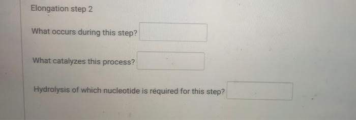 Solved Elongation step 2 What occurs during this step? What | Chegg.com