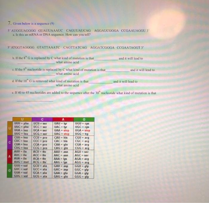 Solved 4. What post transcriptional modifications happen on | Chegg.com