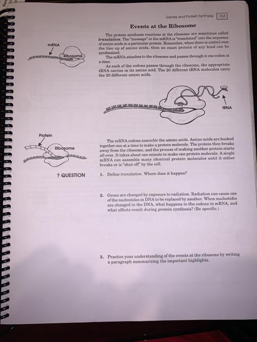 Solved mRNA Genes and Protein Synthe 163 Events at the | Chegg.com