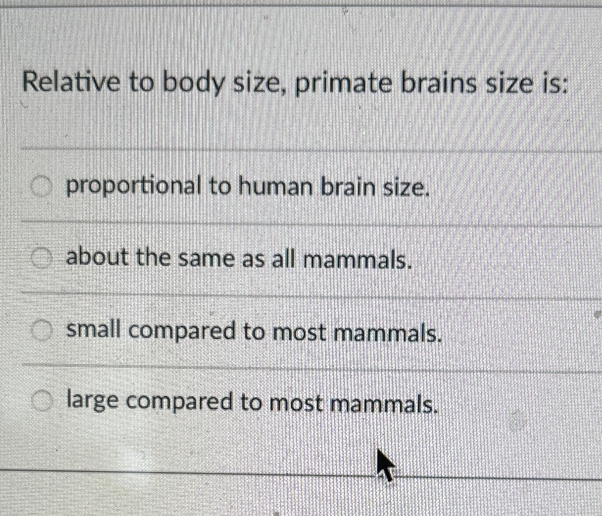 Solved Relative to body size, primate brains size | Chegg.com