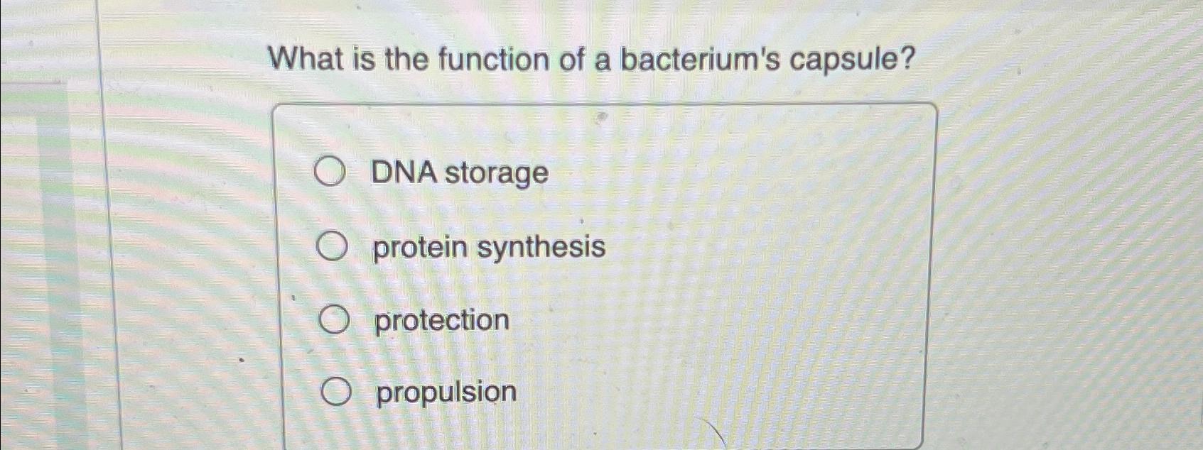 Solved What is the function of a bacterium's capsule?DNA | Chegg.com