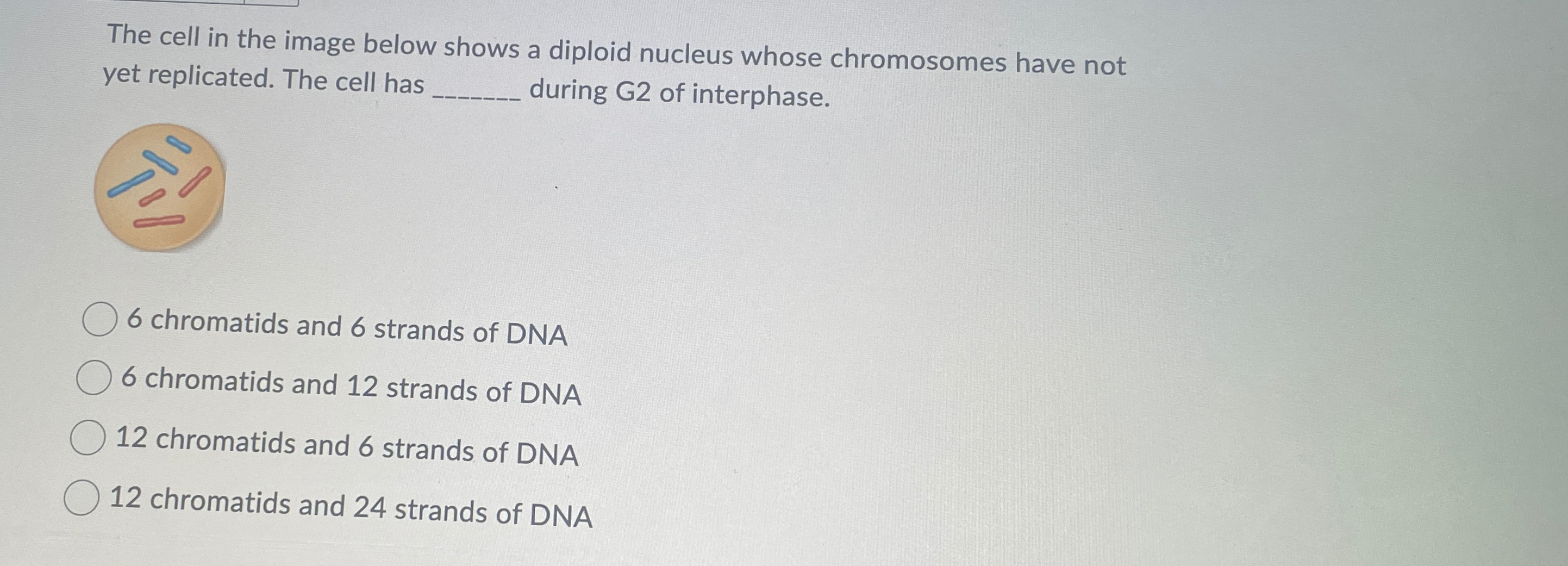 Solved The cell in the image below shows a diploid nucleus | Chegg.com