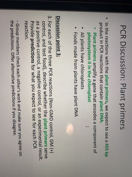 Solved PCR Discussion: Plant primers • In the reactions with | Chegg.com