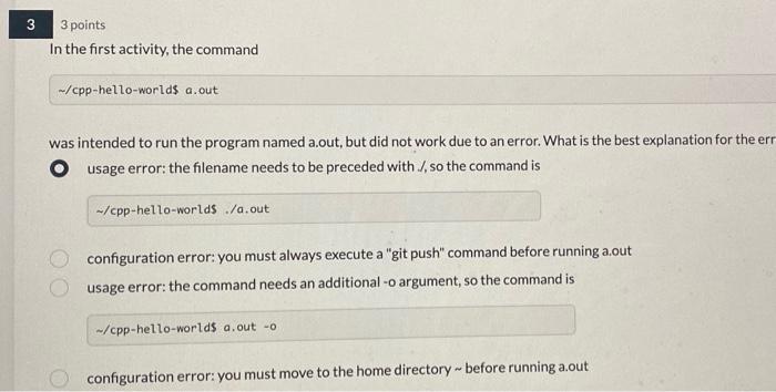 Solved was intended to run the program named a.out, but did | Chegg.com