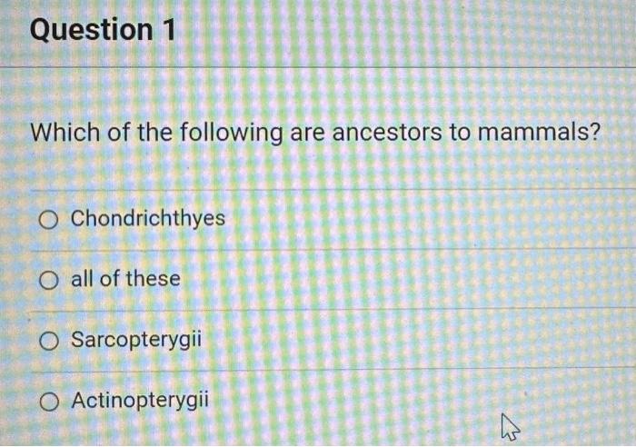 Solved Which of the following are ancestors to mammals? | Chegg.com